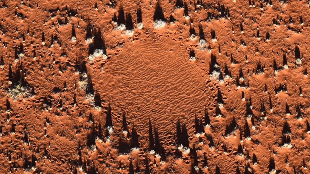 Fairy Circles - All Facts about the Natural Phenomenon